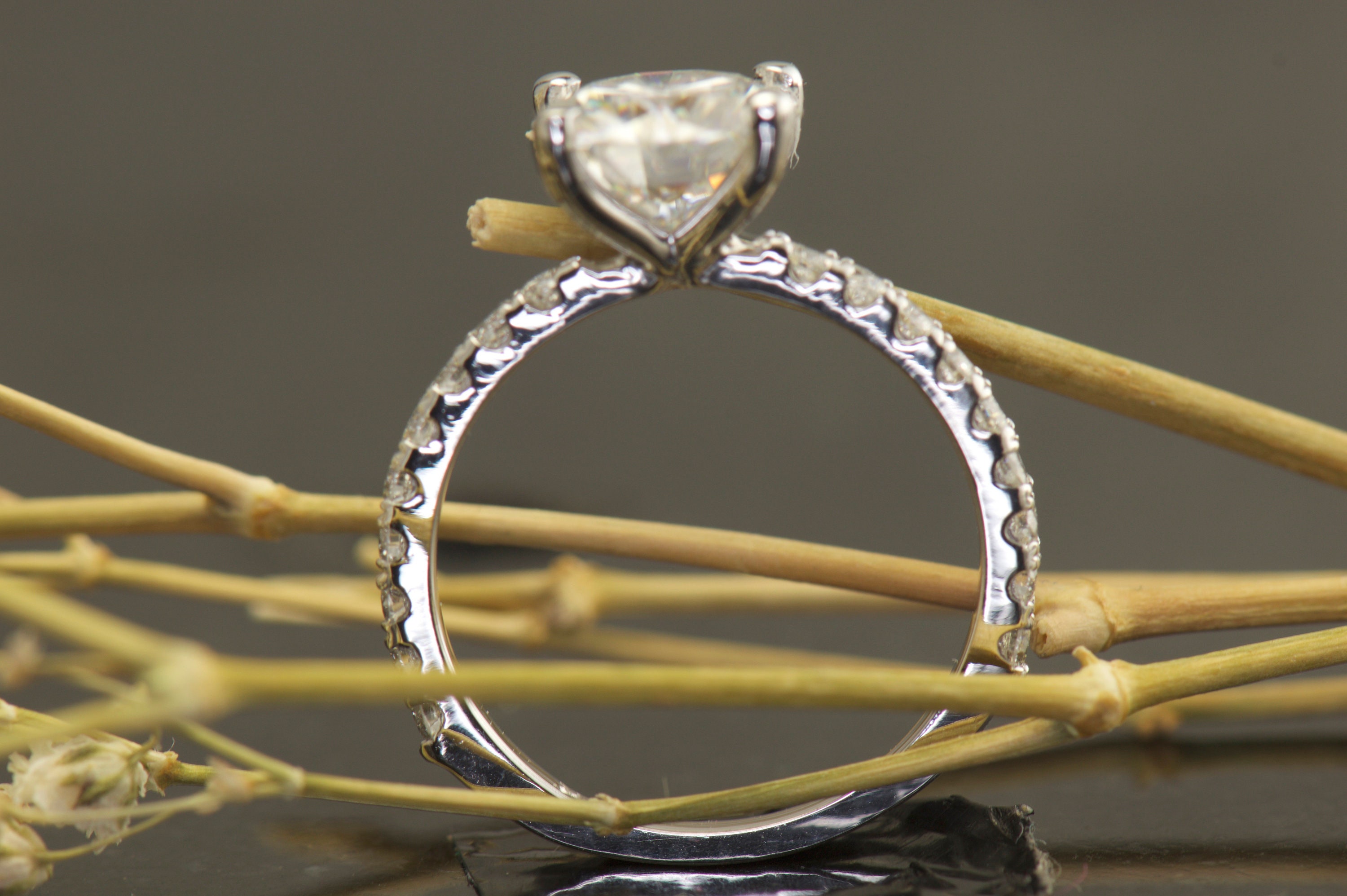 Petite Split Prong Engagement Ring in 14k White Gold 2.00ct | Etsy