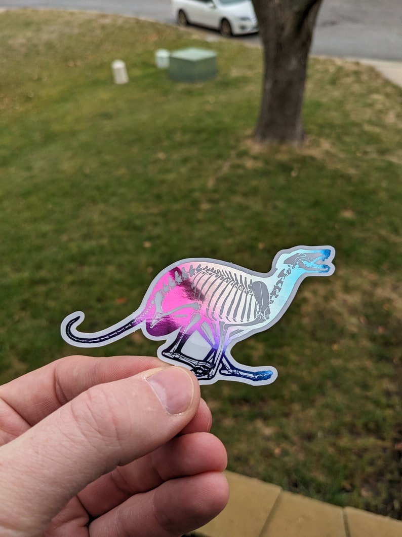 Rainbow Skeleton Greyhound/whippet - Etsy