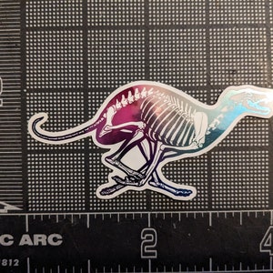 Rainbow Skeleton Greyhound/whippet - Etsy
