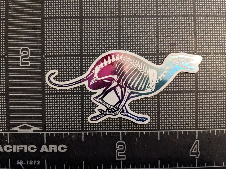 Rainbow Skeleton Greyhound/whippet - Etsy