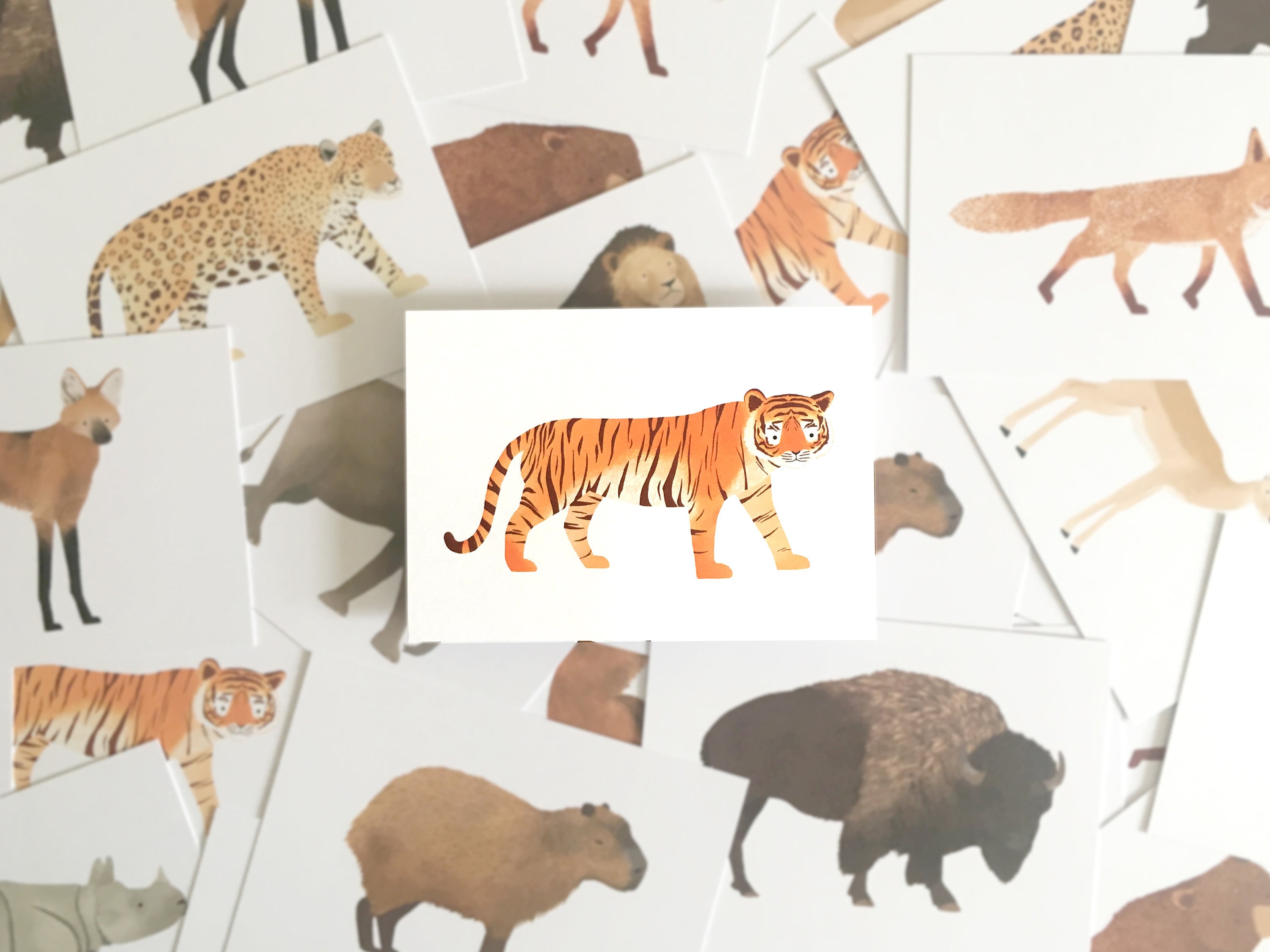 Tiger Postcard Animal Illustration Kid's Gift Jungle | Etsy