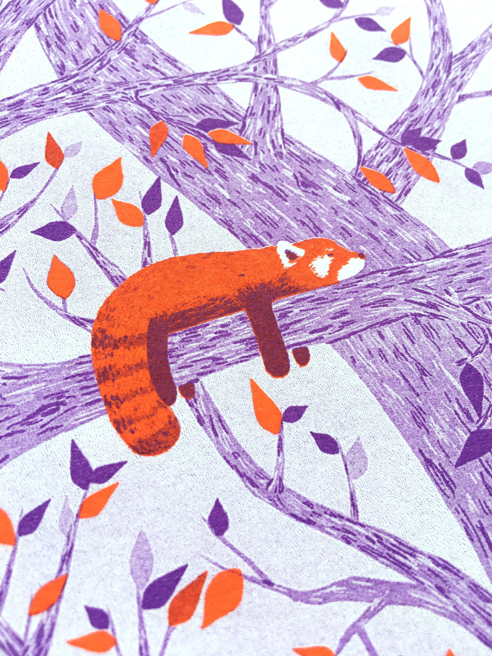 Panda and Red Panda Print Set Risograph Prints Animal | Etsy