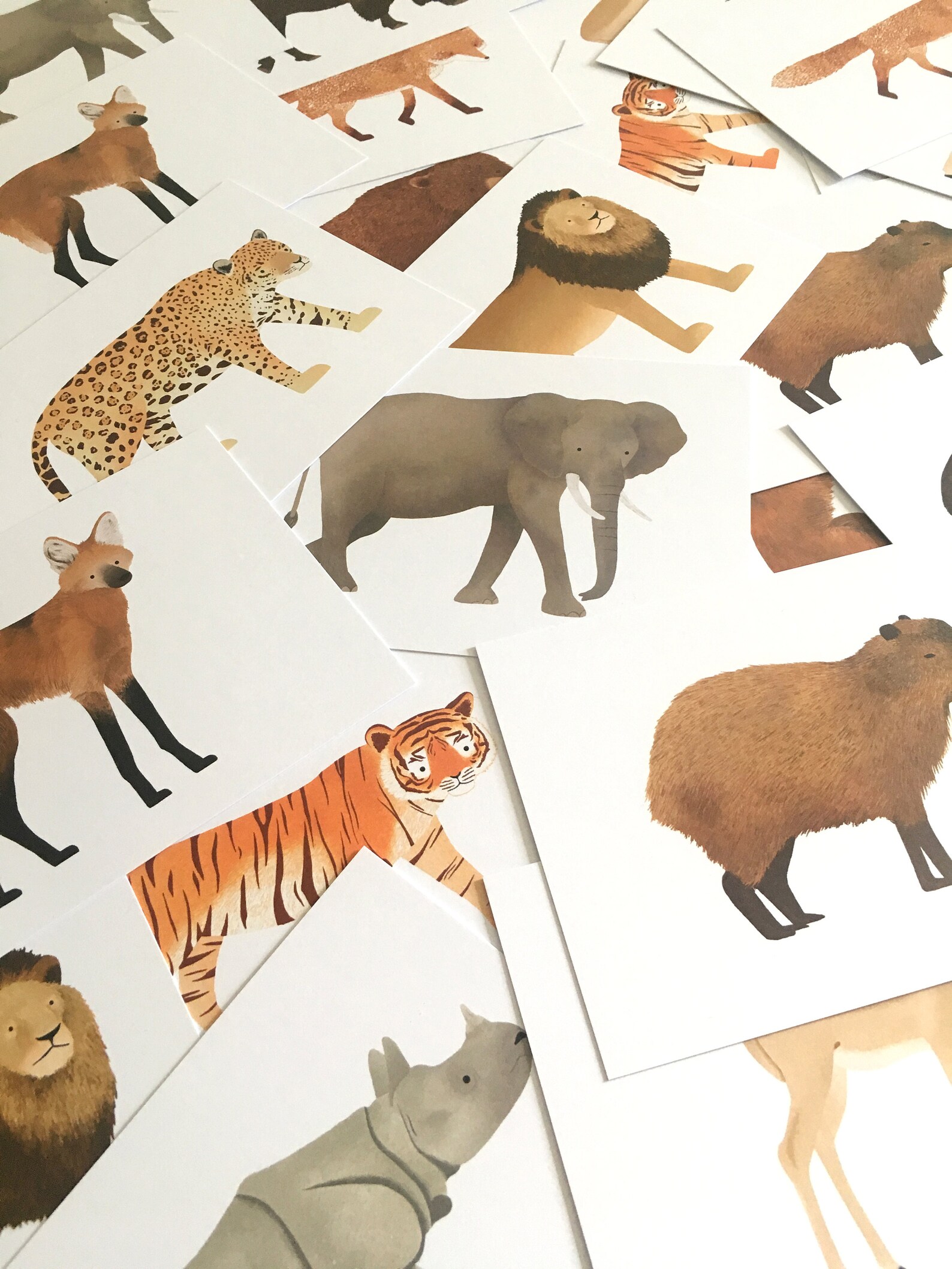 Animal Postcards - A6 Size, Animal Illustration, Small Prints, Home ...