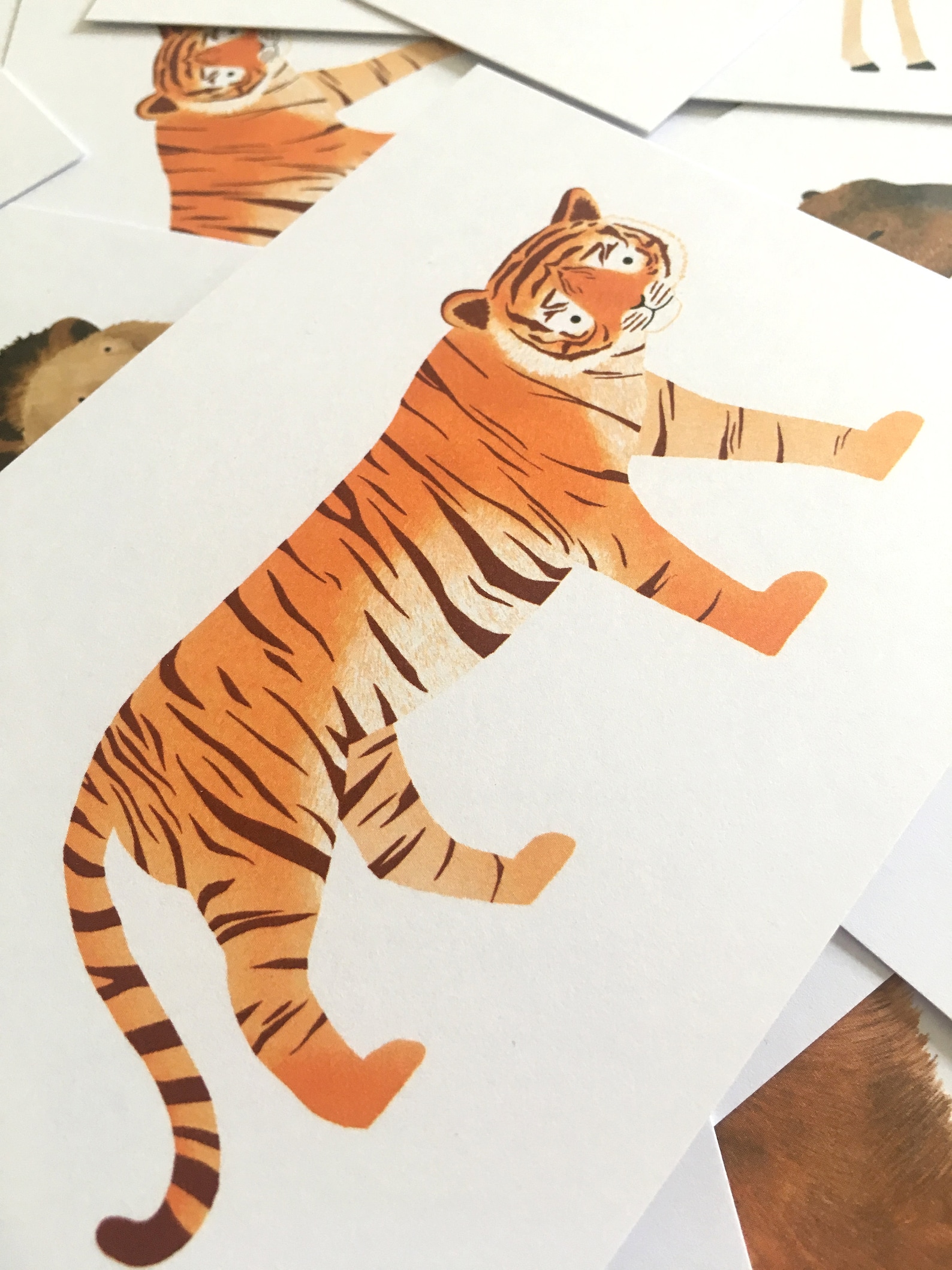 Tiger Postcard Animal Illustration Kid's Gift Jungle - Etsy