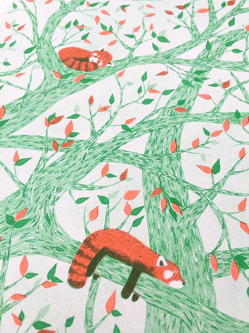 Red Pandas Risograph Print - Green Version! - Animal Illustration, Red ...