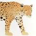 Jaguar Postcard - South American Jungle Animal - Big Cat , Kid's Gift ...