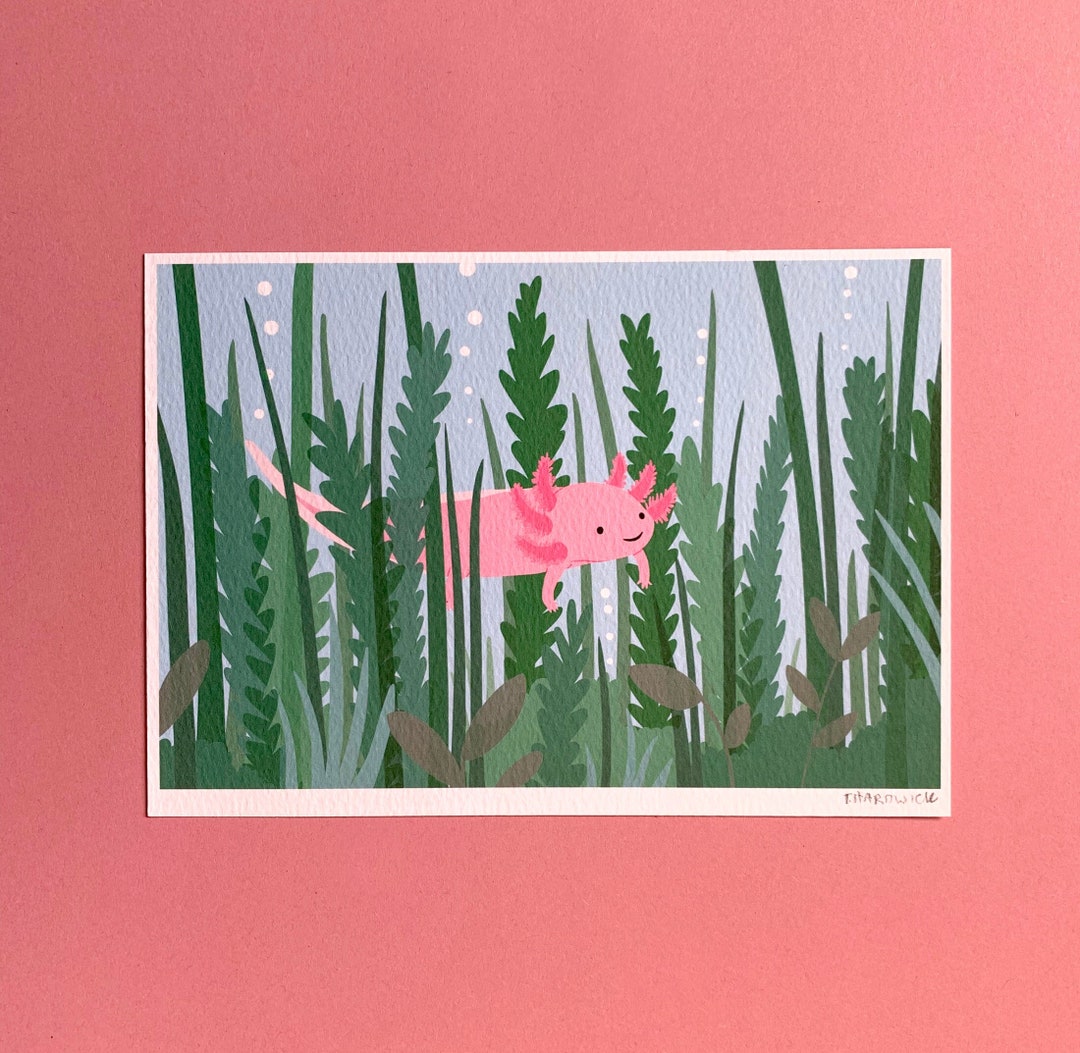 Axolotl Mini Print - Axolotl Illustration, Colourful Pink Animal Art ...