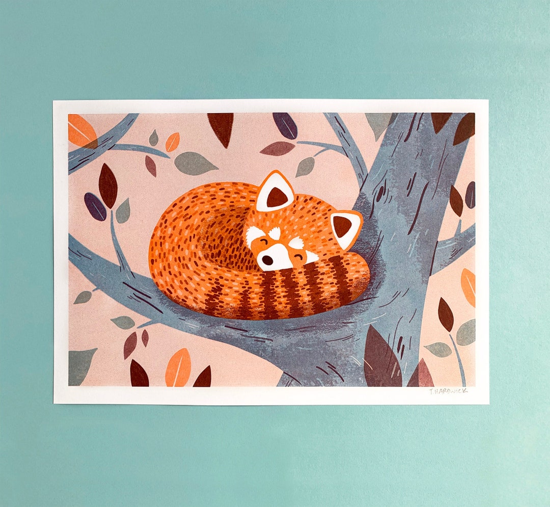 Red Pandas Sleeping Risograph Print - Larger A3 Size - Animal ...