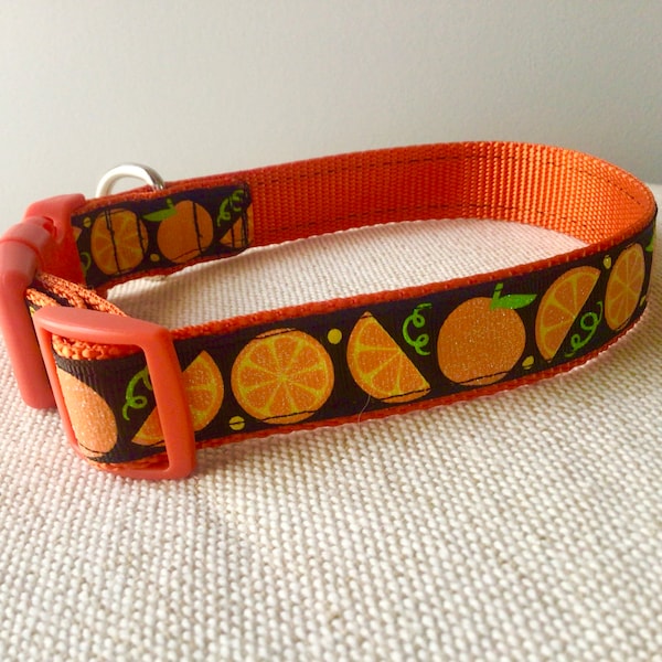 Orange Dog Collar - Etsy