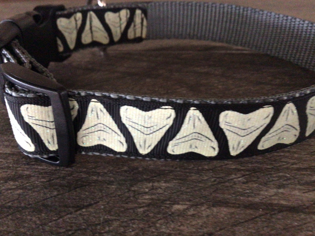 Glow in the Dark Shark Tooth Dog Collar - Etsy