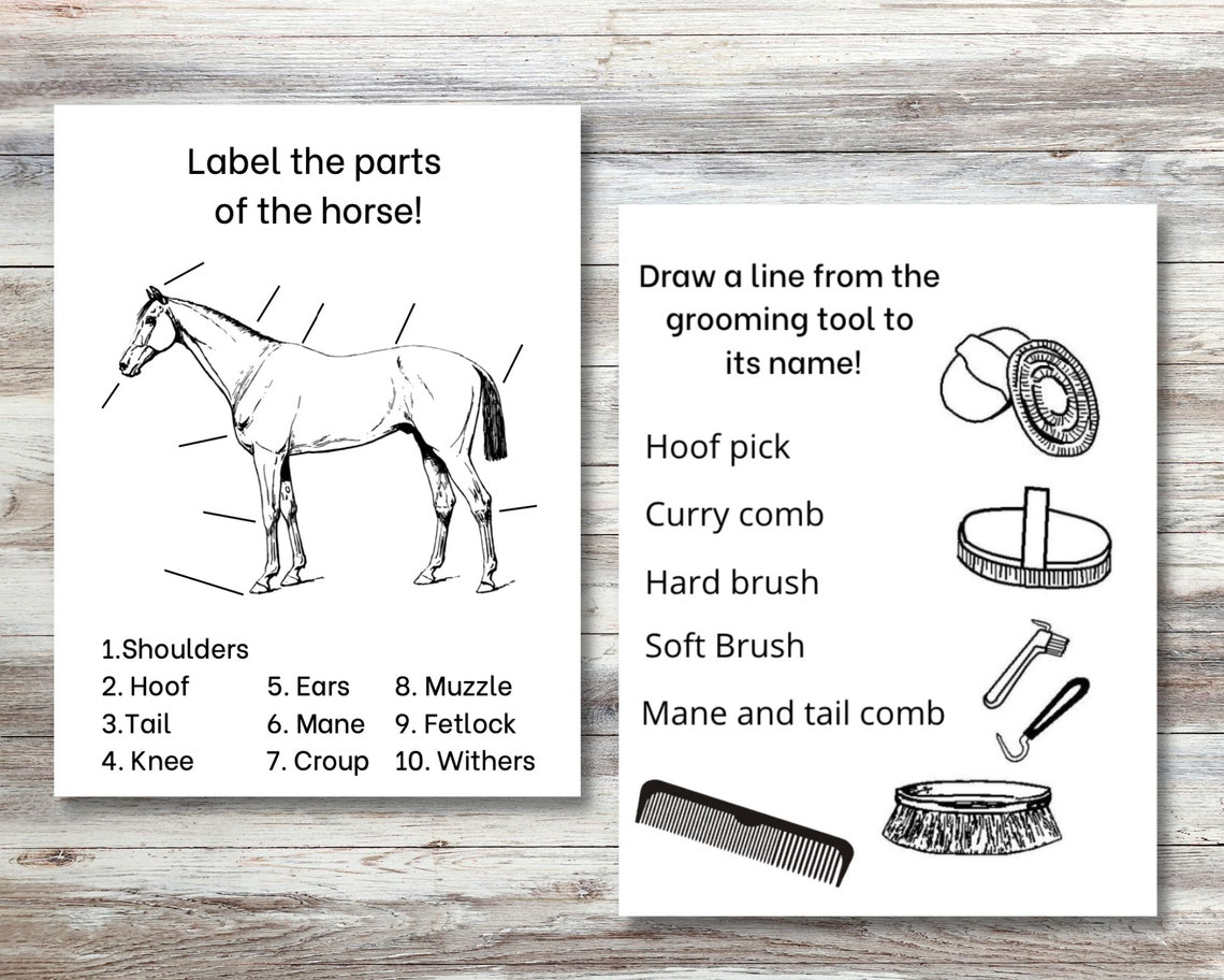 Printable Horse Camp Activity Book for Kids | Equestrian Coloring Page ...