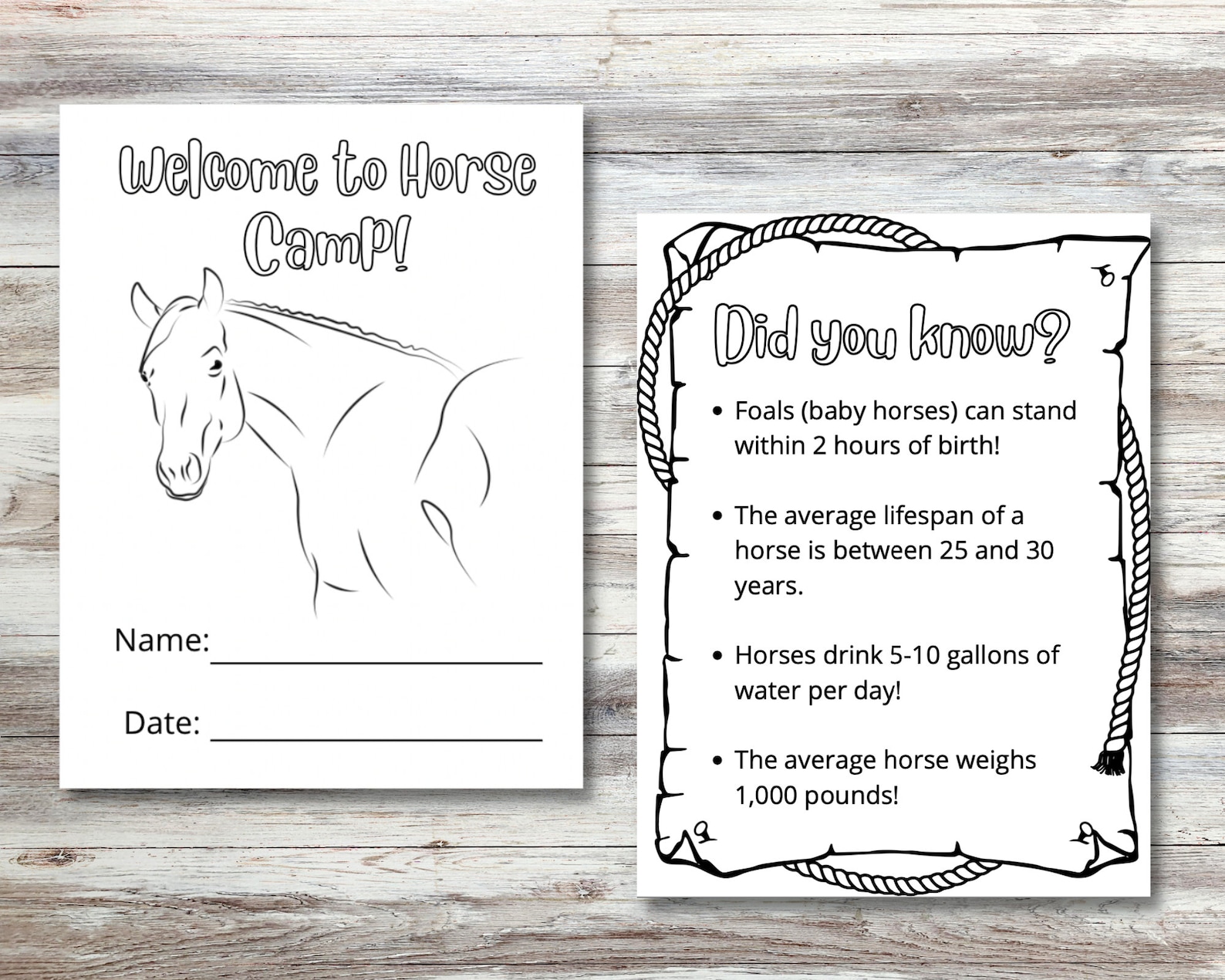 Printable Horse Camp Activity Book for Kids | Equestrian Coloring Page ...