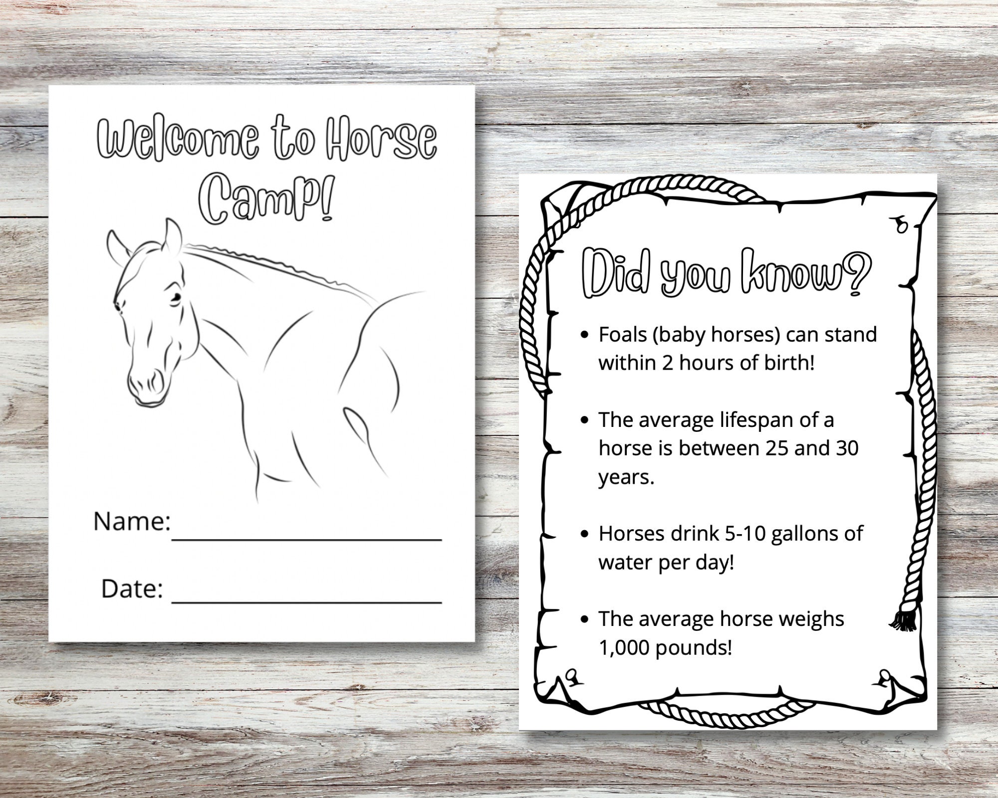Printable Horse Camp Activity Book for Kids | Equestrian Coloring Page ...