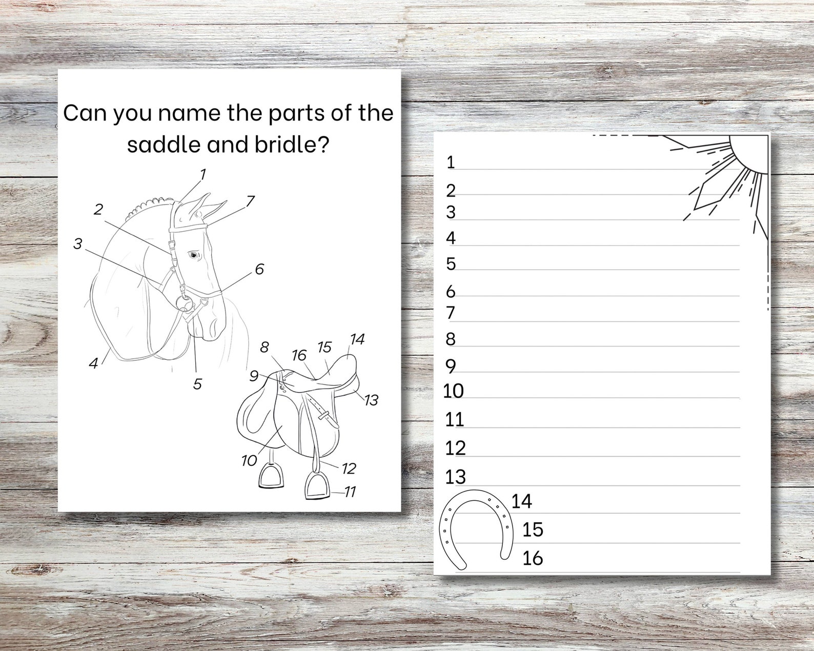 Printable Horse Camp Activity Book for Kids | Equestrian Coloring Page ...
