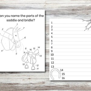 Printable Horse Camp Activity Book for Kids | Equestrian Coloring Page ...