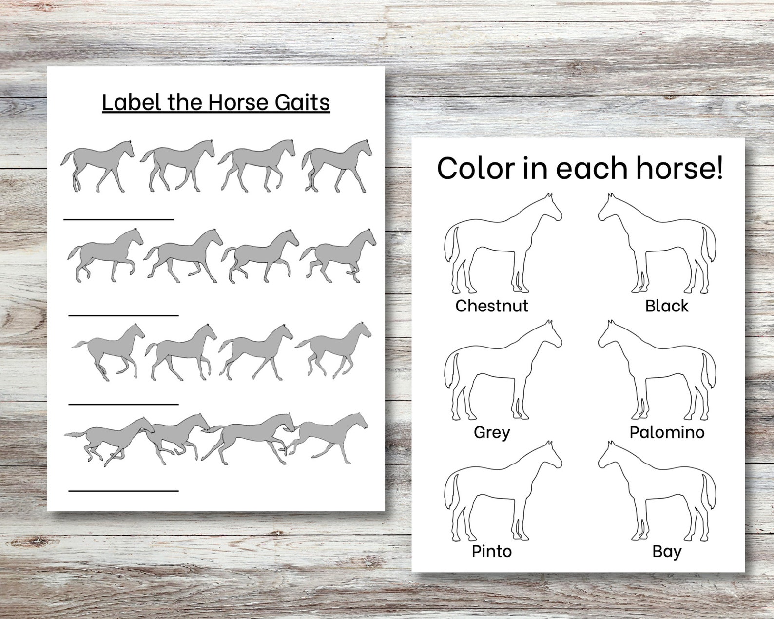 Printable Horse Camp Activity Book for Kids | Equestrian Coloring Page ...