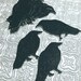 2" Crow Raven Bird Confetti Die Cuts Decorations Costume Party Birthday ...