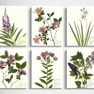 Purple Flower Print Set of 6; Purple Wall Art Purple Botanical Print ...