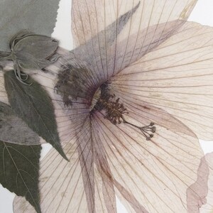 Hibiscus Print; Pressed Flower Print Pink Wildflower Art for Girl ...