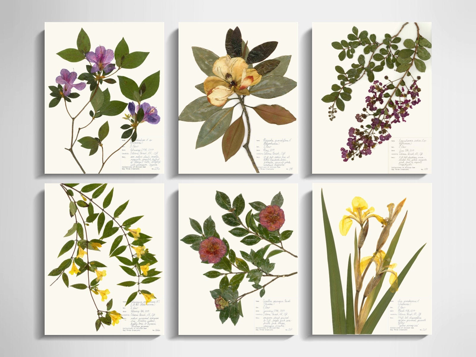 Flowers Original Prints Prints Art & Collectibles Wood & Linocut Prints ...