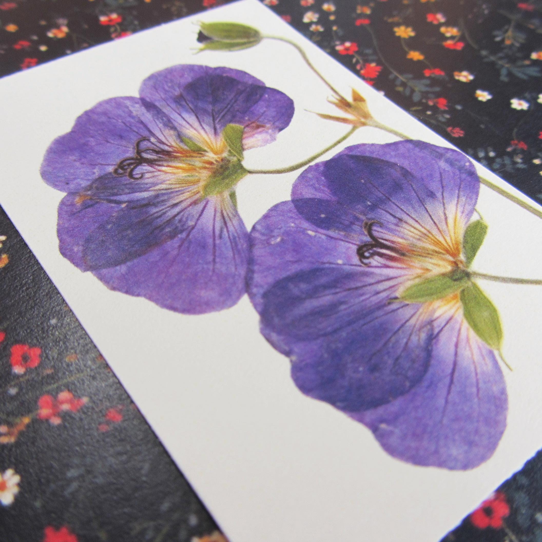 Mini Pressed Flower Artwork 2x3 Inch Print of Daisy Geranium Dianthus ...