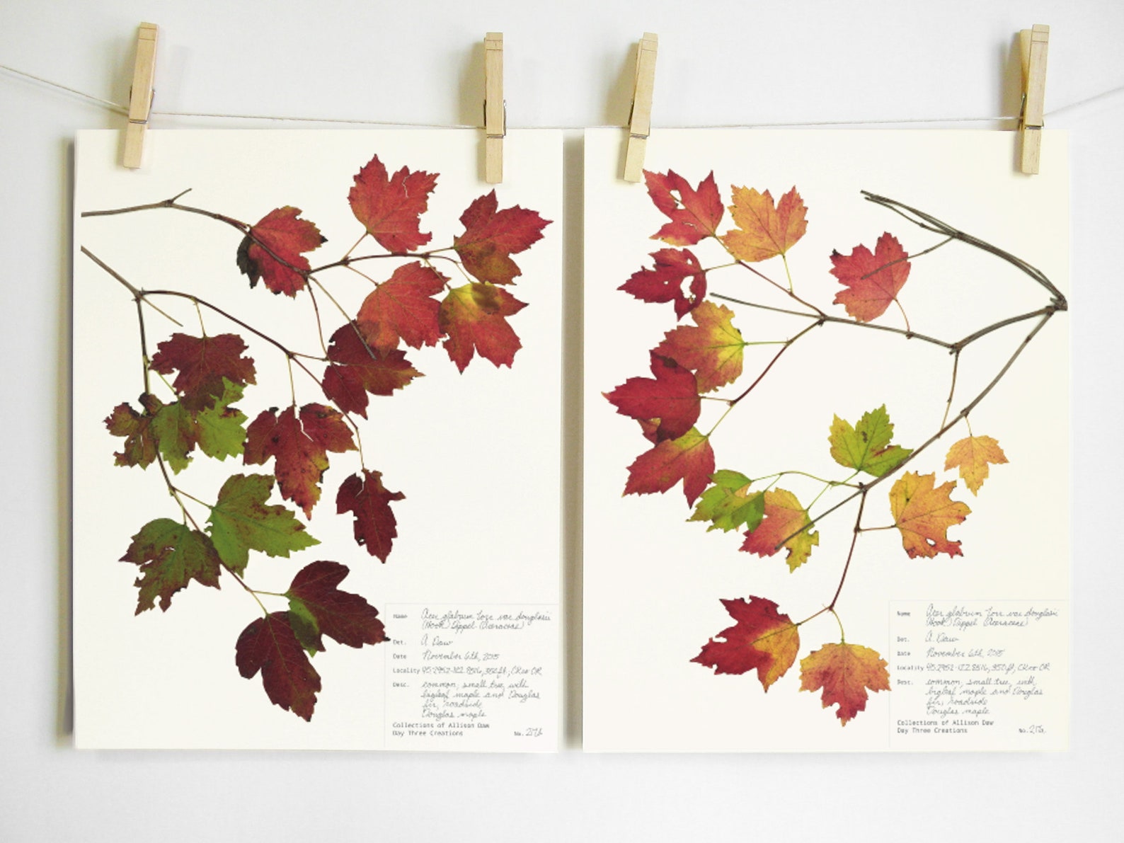 Fall Maple Leaves Print Set Fall Decor Botanical Print - Etsy