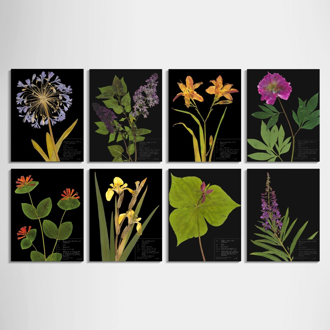 Bold Colors Big Leaves Bright Flowers Print Set; Dark Botanical ...