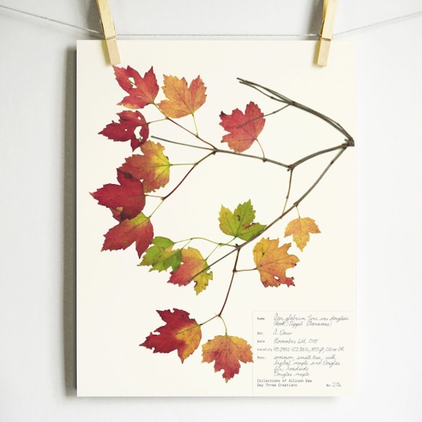 Pressed Leaf Art - Etsy