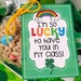 I'm so Lucky to Have You in My Class Gift Tags, Printable St. Patrick's ...