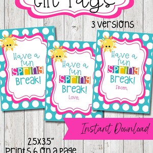 Have a Fun Spring Break Gift Tags for Students, Spring Break Printable ...