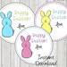 Easter Gift Tags for Kids, Student Happy Easter Peep Gift Tags, Digital ...