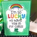 I'm so Lucky to Have You in My Class Gift Tags, Printable St. Patrick's ...