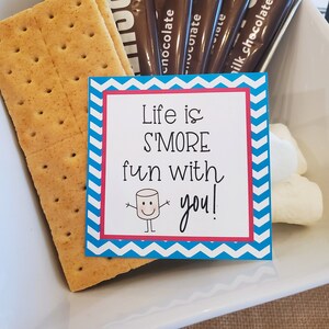 Life is S'more Fun With You Printable Tags-summer Tags-s'mores ...