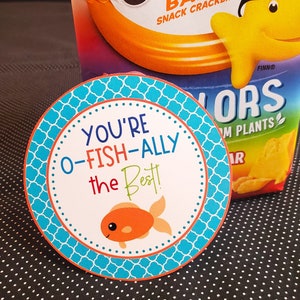 You're O-fish-ally the Best Gift Tags, Fish Gift Tags, Printable Fish ...