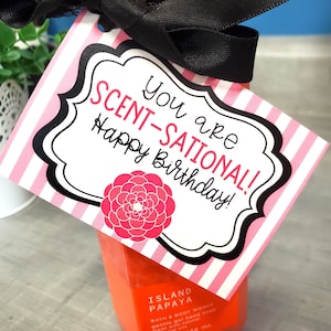 You Are Scent-sational Birthday Tags for Soap or Candles, Gift Tags for ...