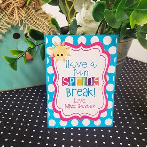 Have a Fun Spring Break Gift Tags for Students, Spring Break Printable ...