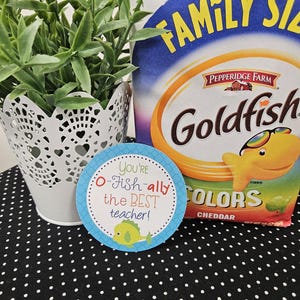 Teacher Appreciation Gift Tags-end of School Year Printable Tags-you're ...