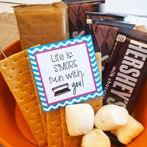 Life is S'more Fun With You Printable Tags-summer Tags-s'mores ...