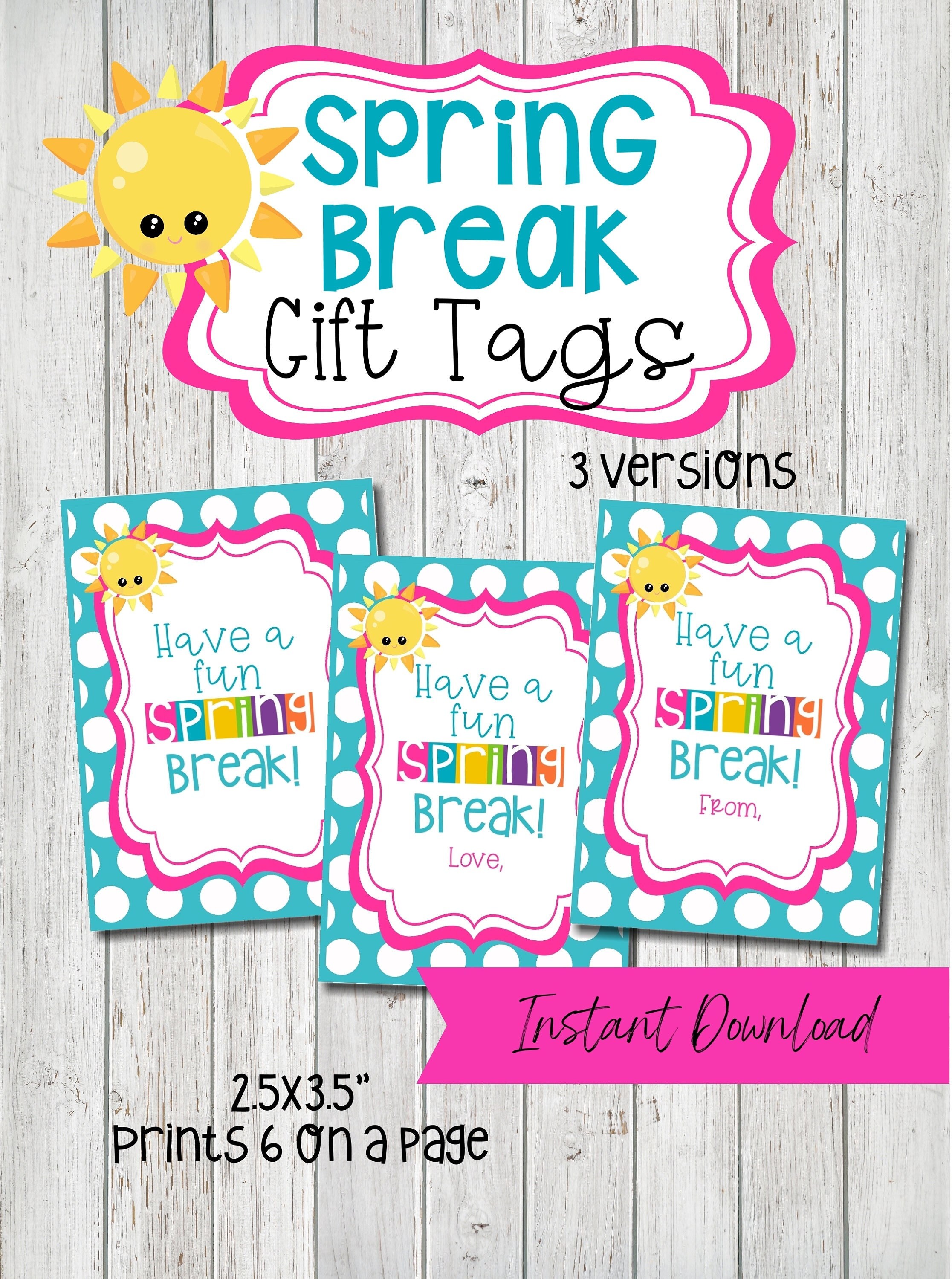 Have a Fun Spring Break Gift Tags for Students Spring Break | Etsy