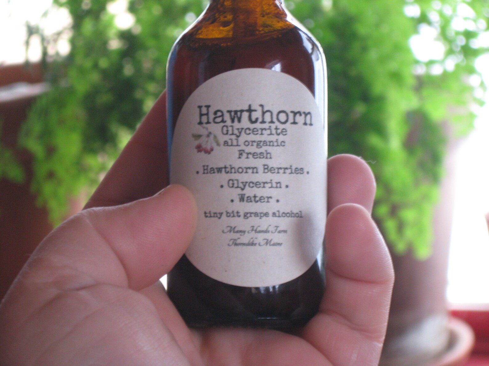 Organic Fresh Hawthorn Berry Tincture.....heart - Etsy