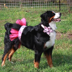 Floral Dog Skirt, Large Dog Tutu, Small Dog Tutu Dress, Dog Costume ...