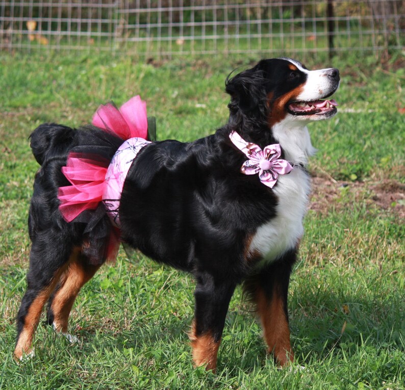 Thanksgiving Dog Skirt Fall Dog Costume Small Dog Tutu | Etsy