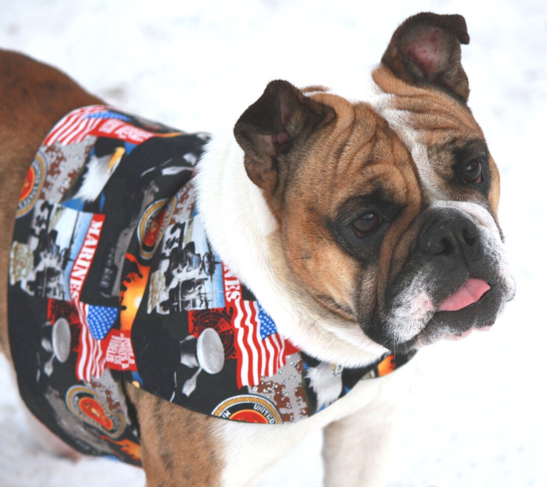 Patriotic Dog Jacket, Dog Coat, Dog Clothes, Army Gifts, Air Force ...