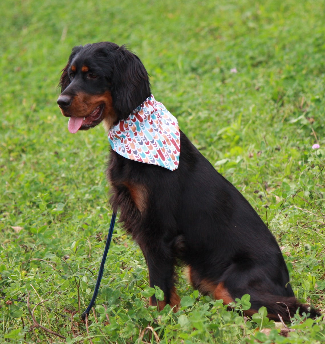 Personalized Dog Bandana Dog Collar Bandana Puppy Bandana | Etsy