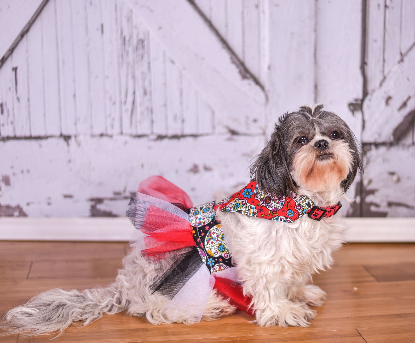 Sugar Skulls Dog Skirt Small Dog Tutu Large Dog Tutu Dress | Etsy