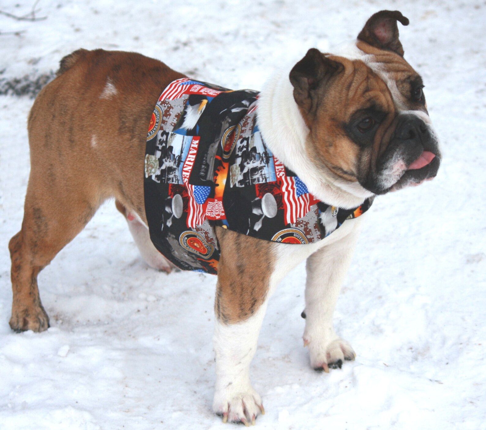 Patriotic Dog Jacket Dog Coat Dog Clothes Army Gifts Air | Etsy