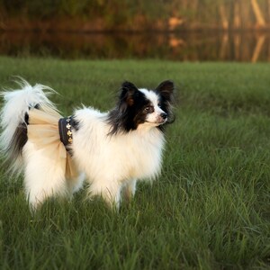 Large Dog Tutu Skirt Small Dog Tutu Tropical Dog Skirt Dog | Etsy