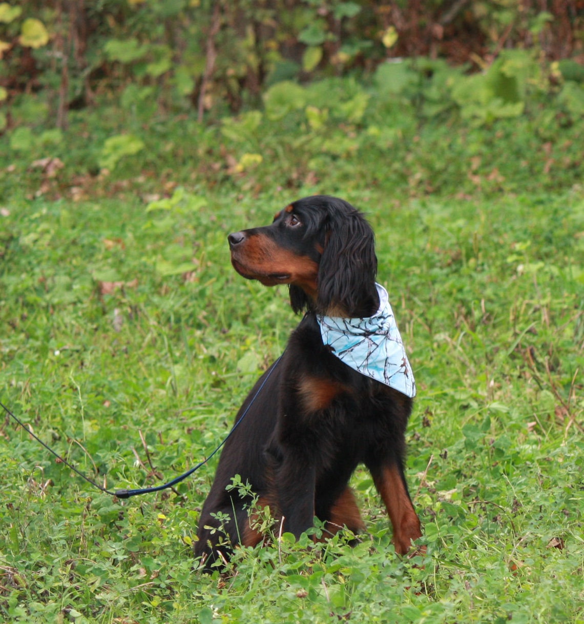Blue Camo Dog Bandanna Country Rustic Dog Collar Bandana - Etsy