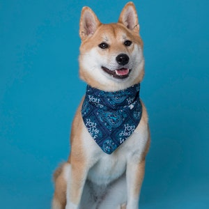 School Dog Bandana, Science Dog Collar Bandana, Chemistry Dog Bandanna ...
