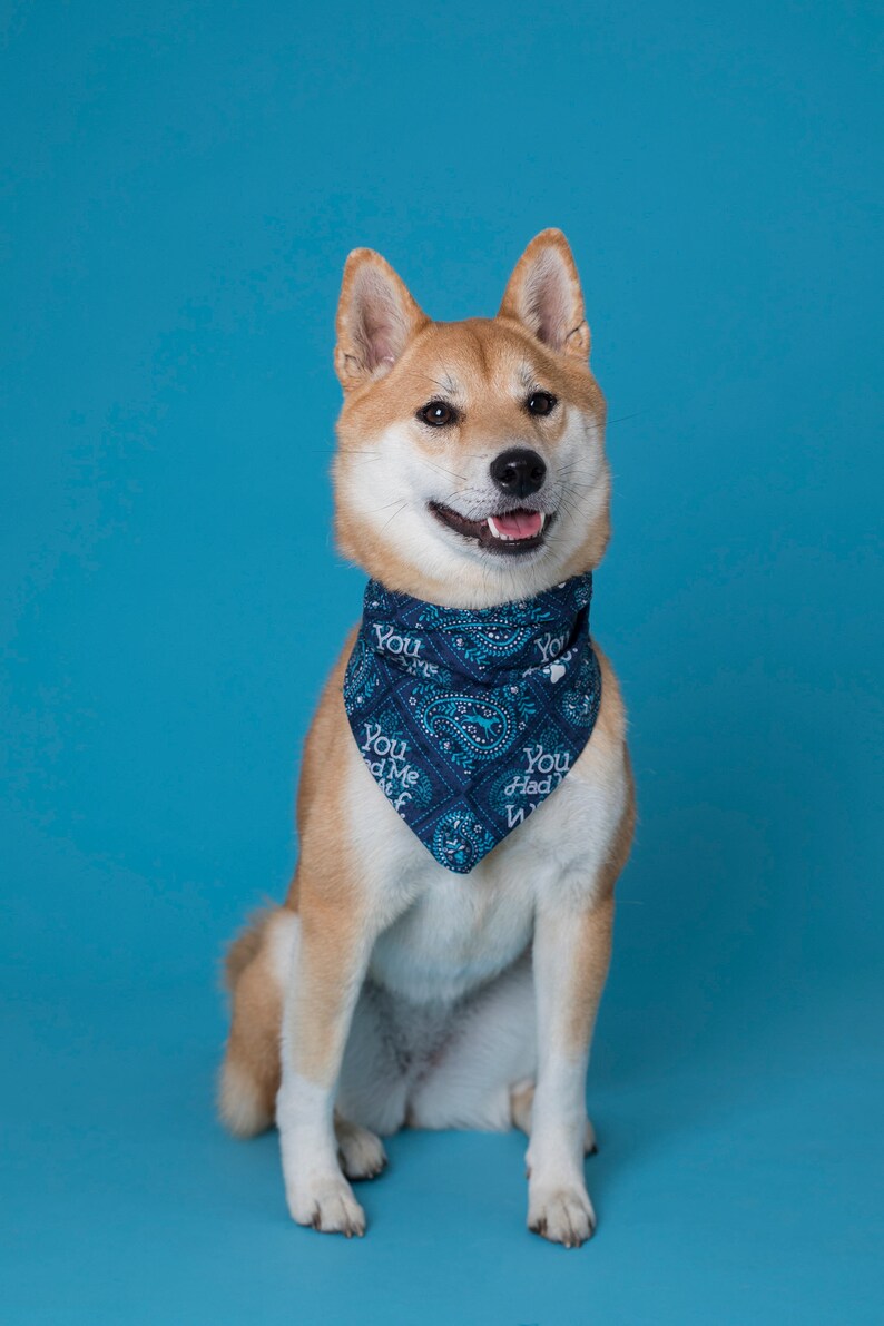 School Dog Bandana Science Dog Collar Bandana Chemistry Dog | Etsy